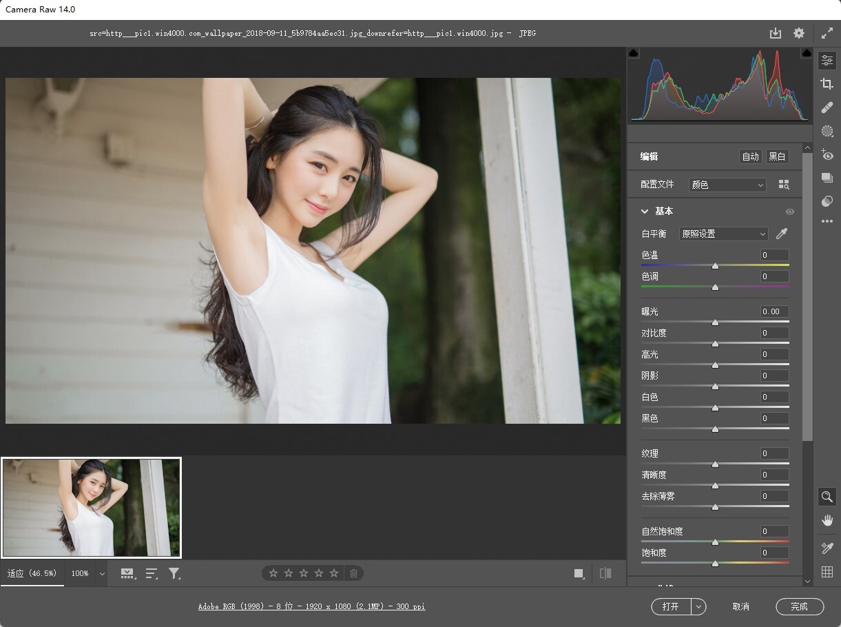 Adobe Camera Raw for win(RAW处理工具) - 哔哩哔哩