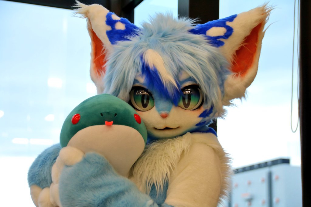 个人收集的Furry图片第20弹 - 哔哩哔哩