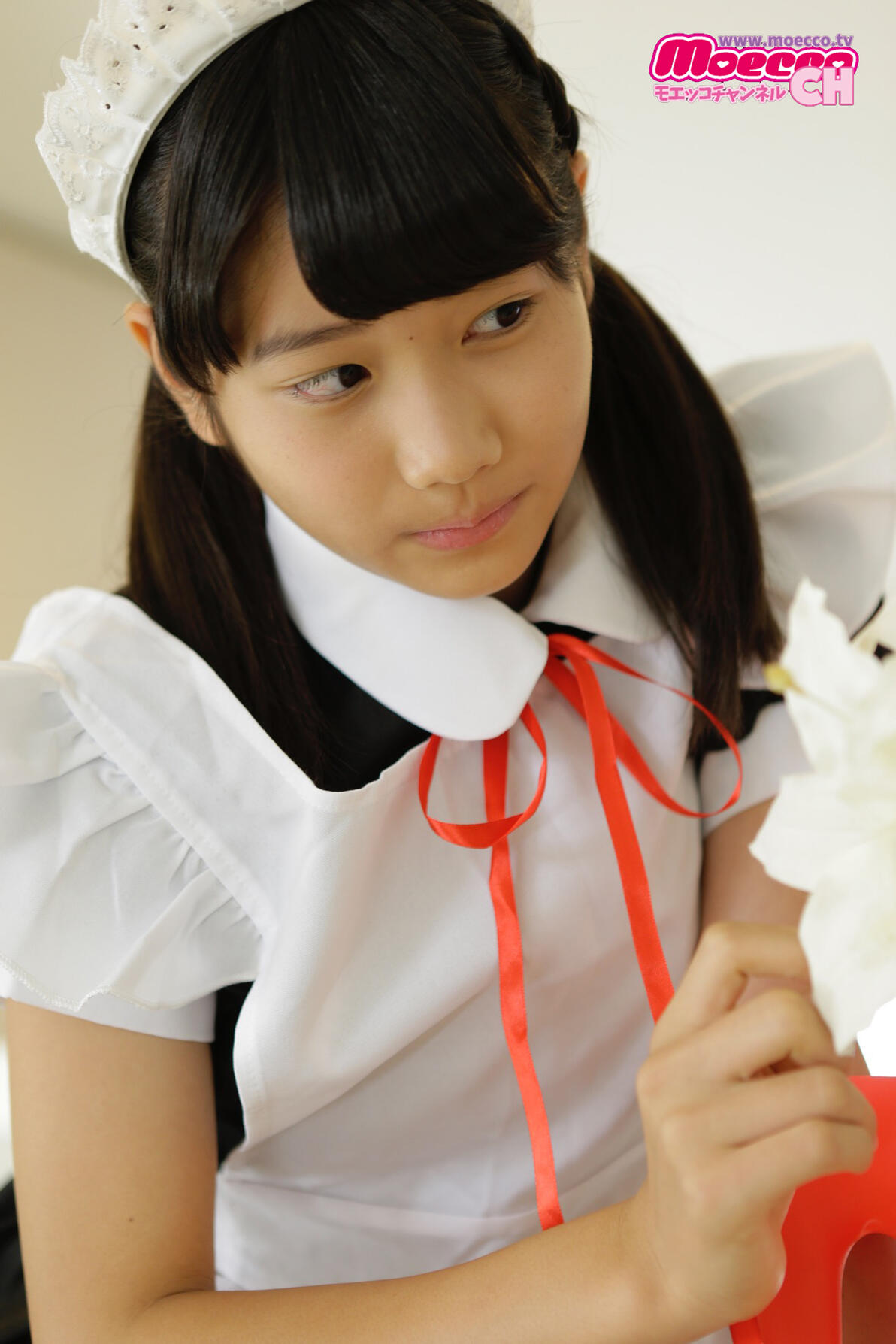 星七虹心 Nico Hoshina - 哔哩哔哩