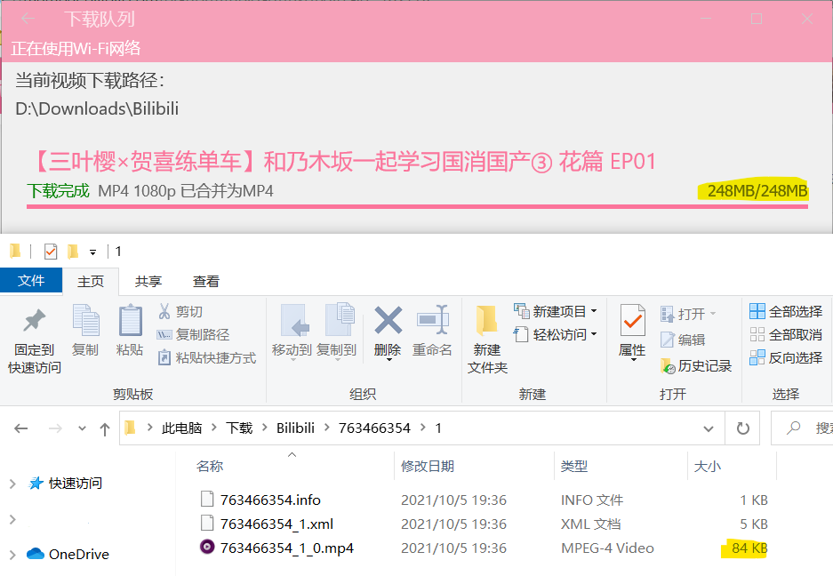 使用 BBDown 下载哔哩哔哩视频的简要步骤 - 哔哩哔哩