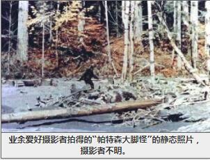 关于SCP基金会中那些各类K级情景介绍 - 哔哩哔哩