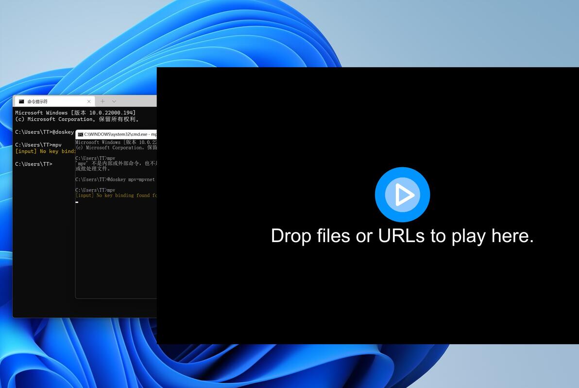 Win10上调用mpv.net播放浏览器视频以及Win10别名的设置 - 哔哩哔哩
