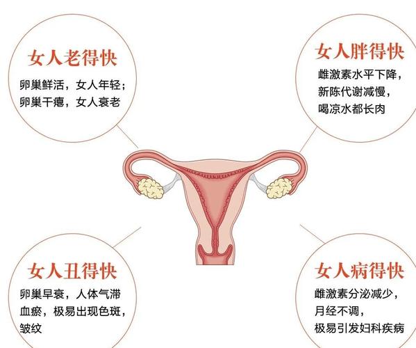 35岁的女性如何保养卵巢？ 哔哩哔哩
