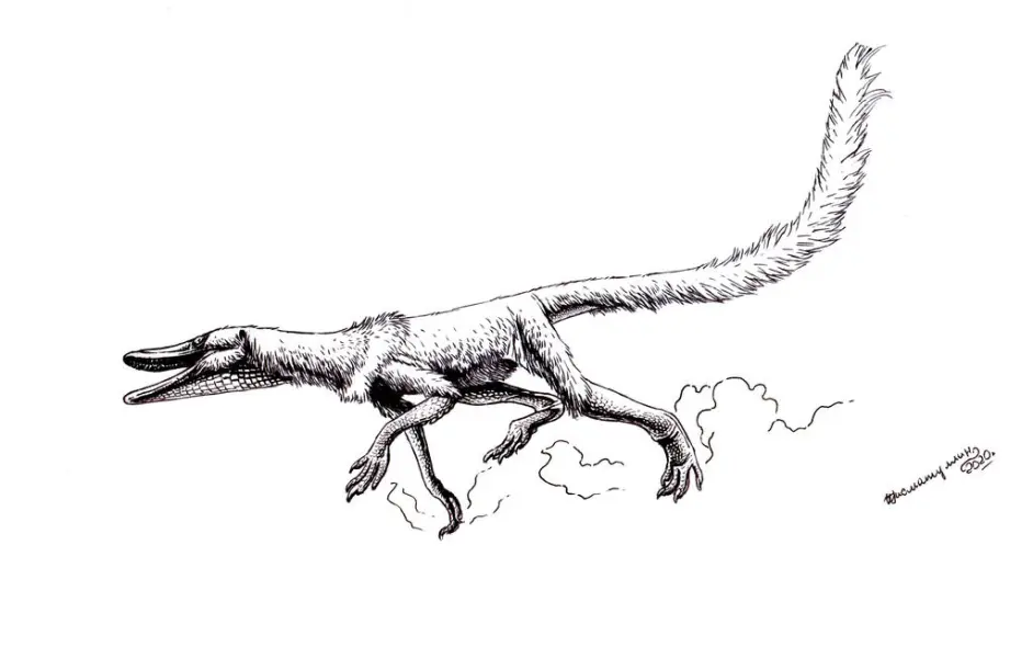 【鳄类天演史】(一)：黎明下的鳄型超目 - 哔哩哔哩