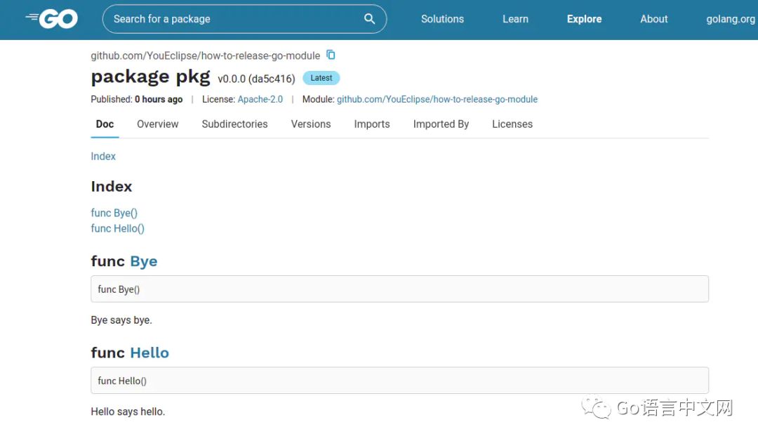 如何"优雅"地发布自己的 go module 模块到 pkg.go.dev - 哔哩哔哩