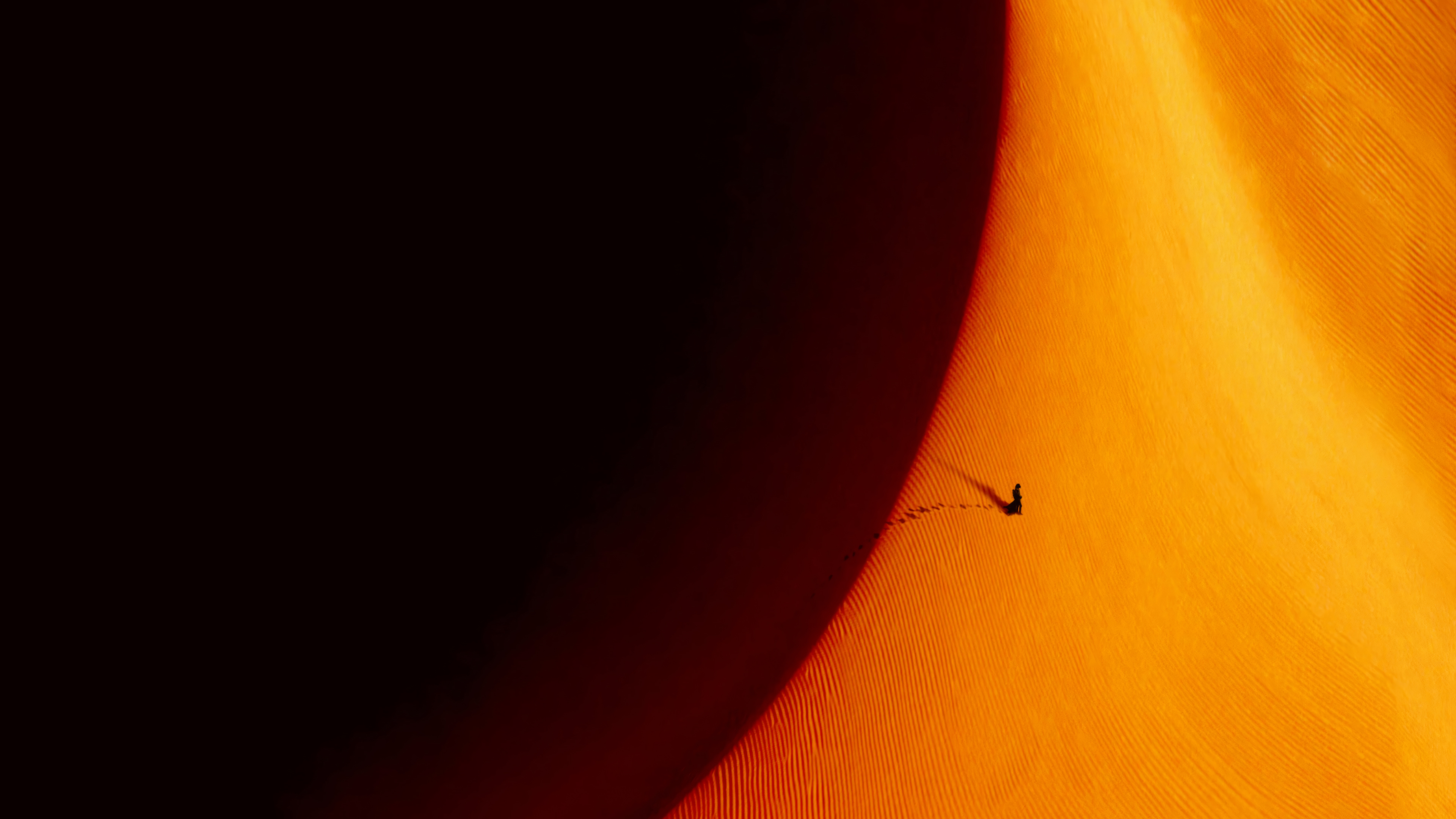 沙丘2（Dune: Part Two）| 提莫西·查拉梅 赞达亚 主演电影 | 4K 电脑壁纸 手机壁纸 - 哔哩哔哩