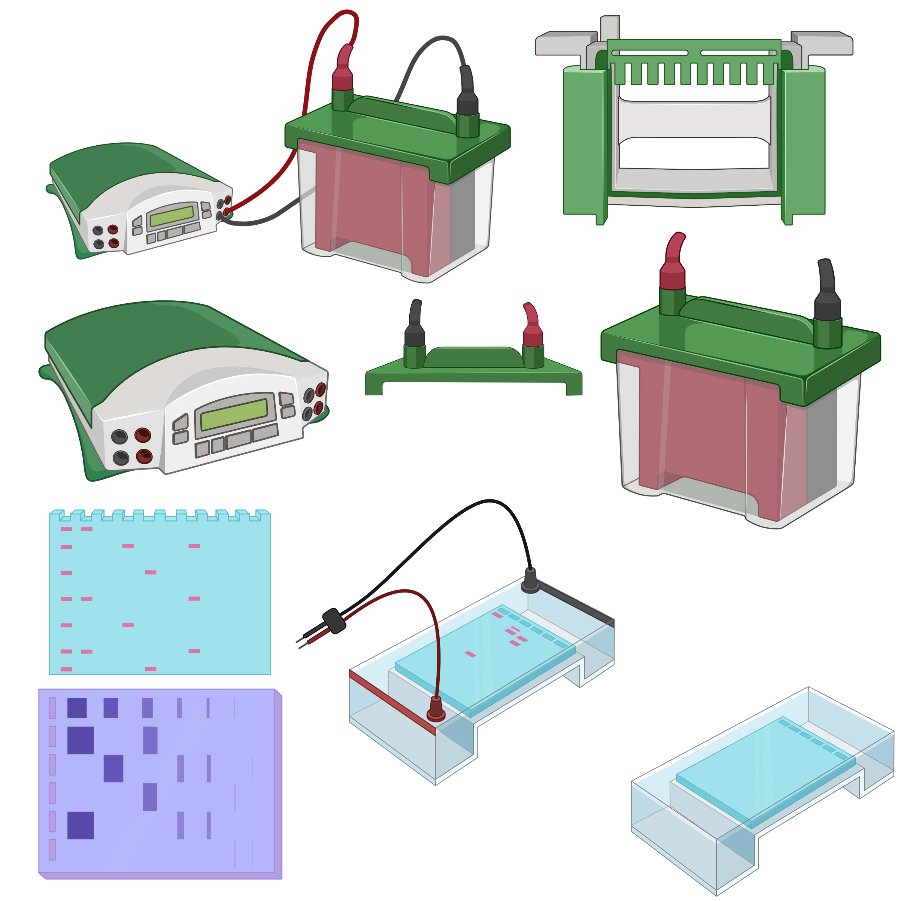 western blot PPT素材 - 哔哩哔哩