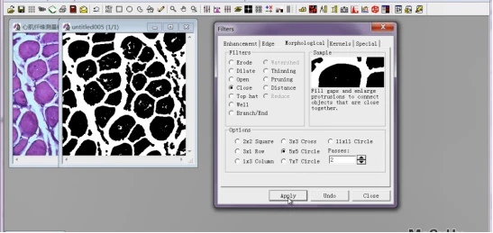 image Pro plus全技能汇总！（40个视频教程免费学习） - 哔哩哔哩