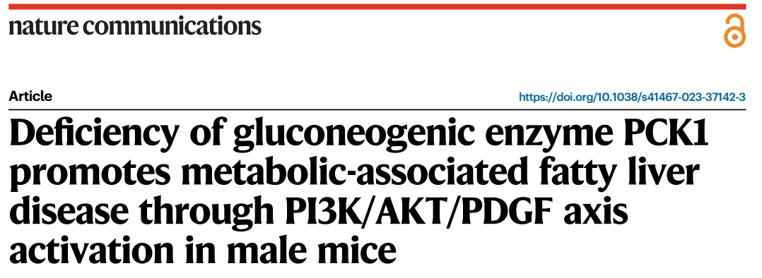 项目文章Nat Commun（IF 17.69）| 重庆医科大学附属第二医院发现糖异生关键酶PCK1调控 - 哔哩哔哩