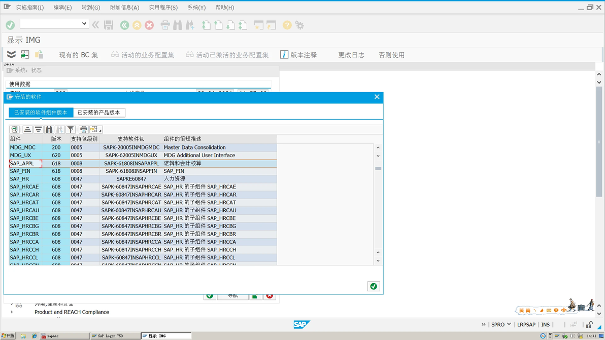SAP ECC6 EHP8 IDES极致优化虚机 - 哔哩哔哩