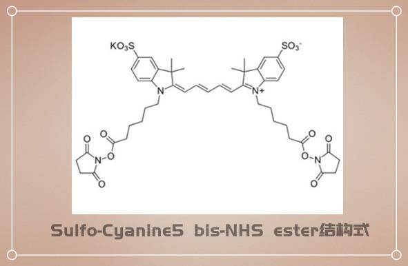 水溶性双功能染料Sulfo-Cy5 bis-NHS，Sulfo-Cyanine5 bis-SE，磺酸基Cy5 bis酯 - 哔哩哔哩