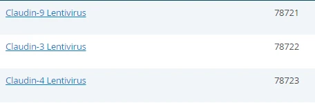 Claudin蛋白家族的结构和功能-BPS Bioscience - 哔哩哔哩