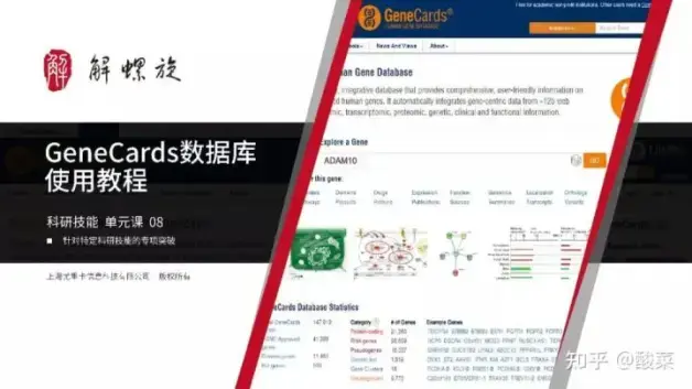 GeneCards数据库使用教程，掌握打开基因功能研究大门的第一把钥匙！！！ - 哔哩哔哩