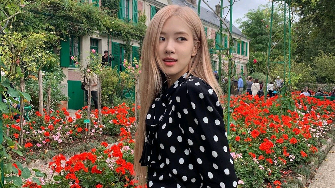 【ROSEKOOK】3 wishes 第三十八章 - 哔哩哔哩