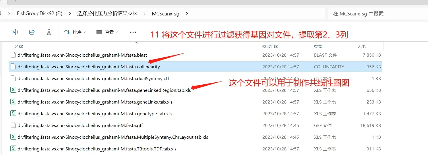 使用TBtools计算ka/ks - 哔哩哔哩