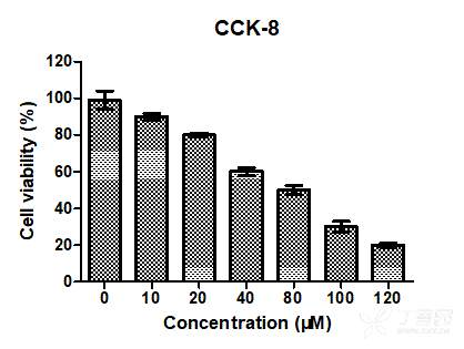 CCK-8细胞毒性检测 - 哔哩哔哩