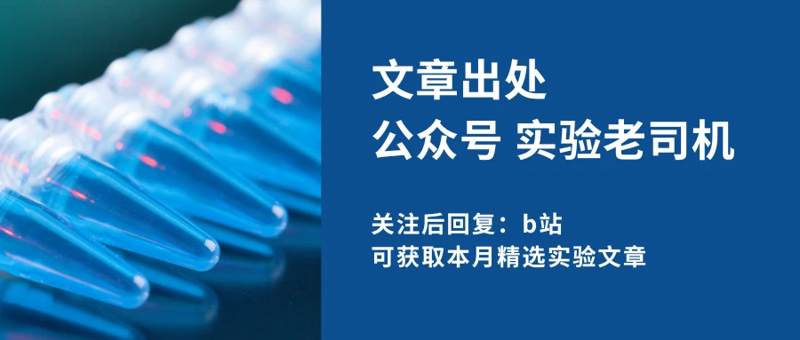 手把手教学｜shRNA设计步骤及注意事项 - 哔哩哔哩