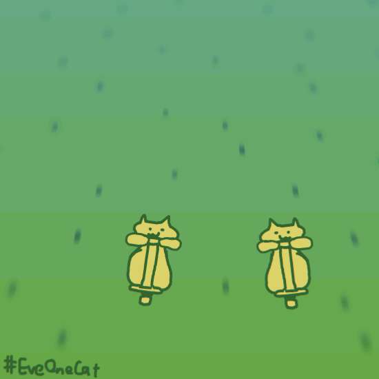 送Everyday one cat全套表情包，请自取～（eveonecat）看到就是赚到 - 哔哩哔哩