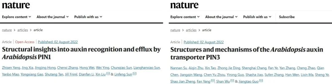 膜蛋白与小分子互作：SPR及ITC技术助力揭示生长素极性运输机制 - 哔哩哔哩