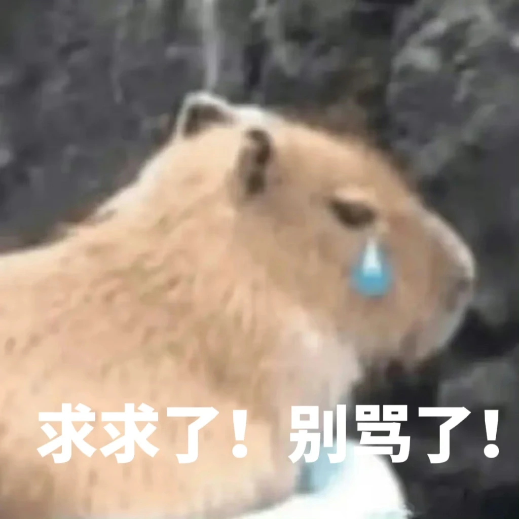 网上爆火的“卡皮巴拉”到底是什么？梗来源&表情包合集! - 哔哩哔哩