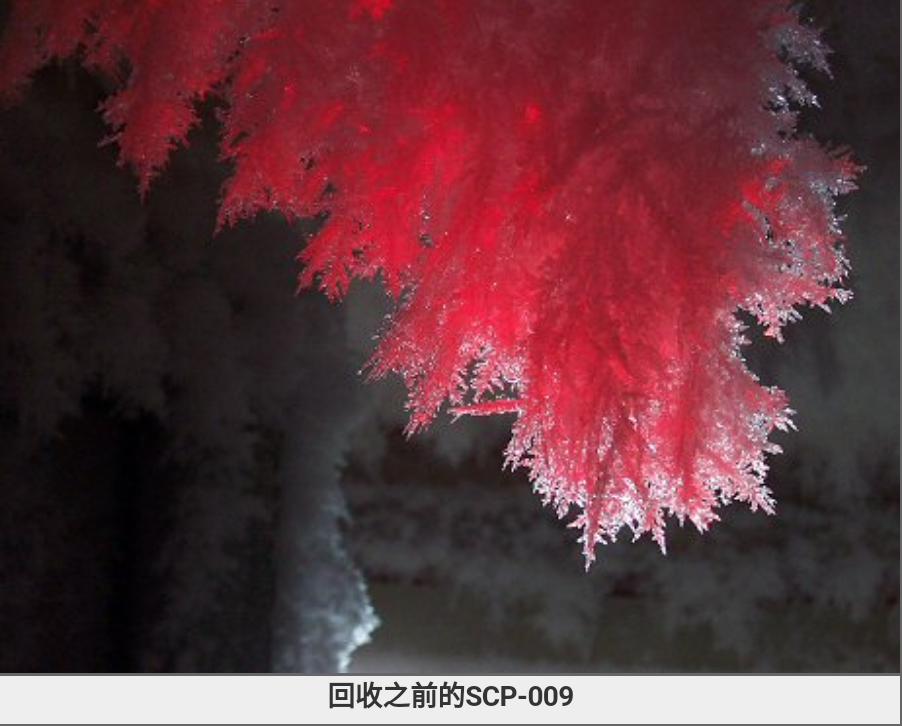 SCP-009 红冰 - 哔哩哔哩