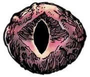 DND兽人神系Orc Pantheon - 哔哩哔哩