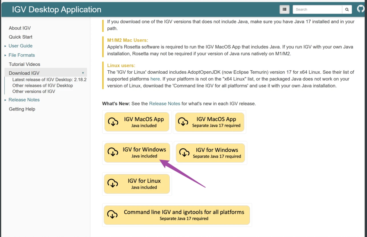 生信初学者-如何正确下载IGV软件（windows版本）全网可读性最强，手把手教学 - 哔哩哔哩