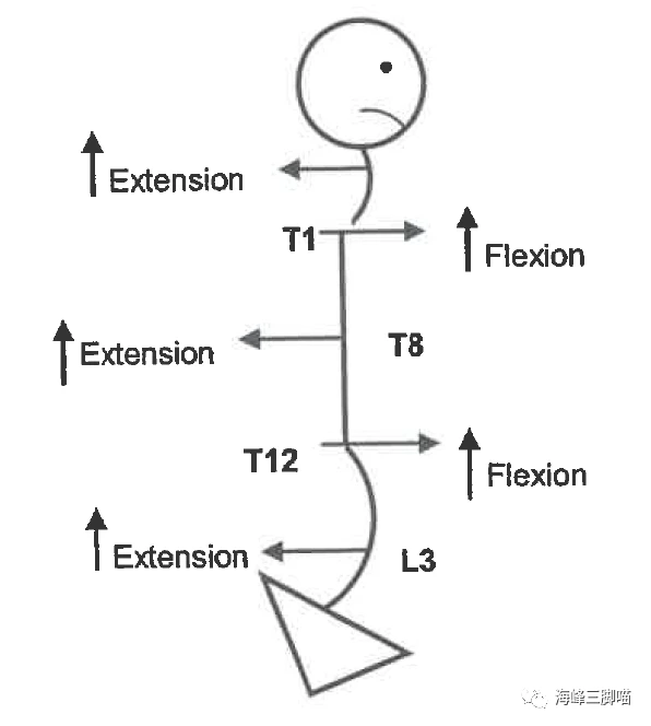 「PRI」颞下颌颈链TMCC-自学系列 - 哔哩哔哩