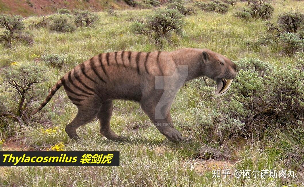 关于窃鹤的一些简介 - 哔哩哔哩