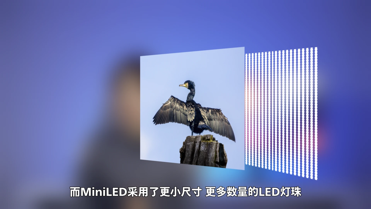 图解科普！MiniLED技术原理与优势-附对比 盘点新款4K144HzMiniLED电竞显示器的优缺点 - 哔哩哔哩