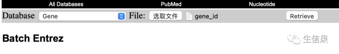 简单高效利用Batch Entrez批量获取基因别名 - 哔哩哔哩