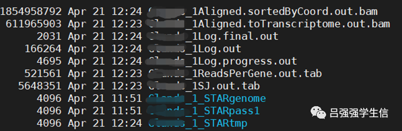 转录组比对软件STAR安装及使用 - 哔哩哔哩
