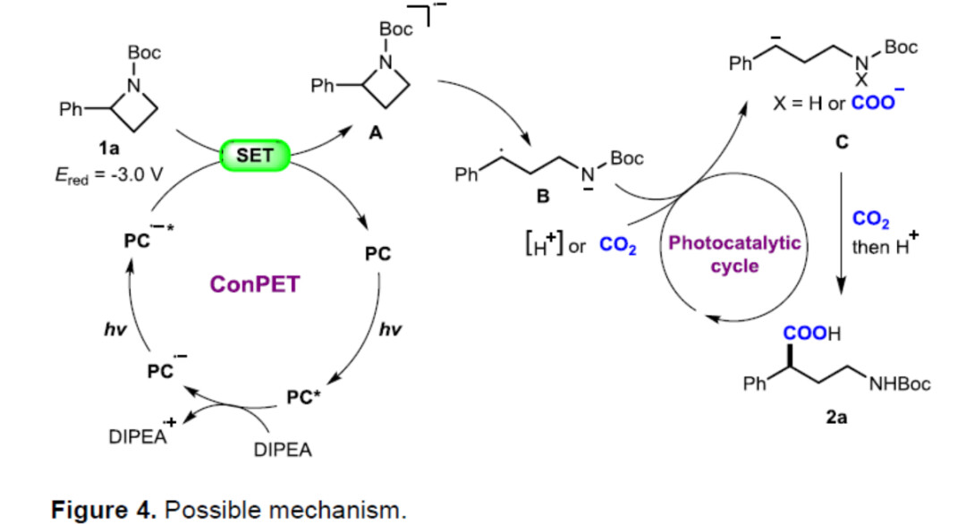 Angew：四川大学余达刚与叶剑衡课题组可见光催化CO2参与的环胺化合物C-N键羧基化反应 - 哔哩哔哩