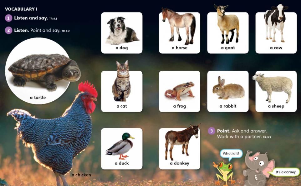 全新的Our World National Geographic our world2第二版英文原版教材 - 哔哩哔哩