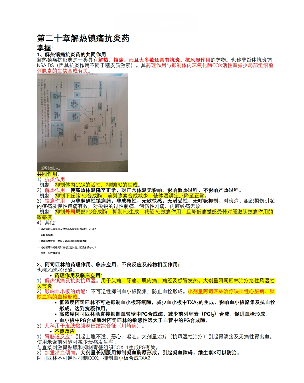 药理学第二十章解热镇痛抗炎药 哔哩哔哩