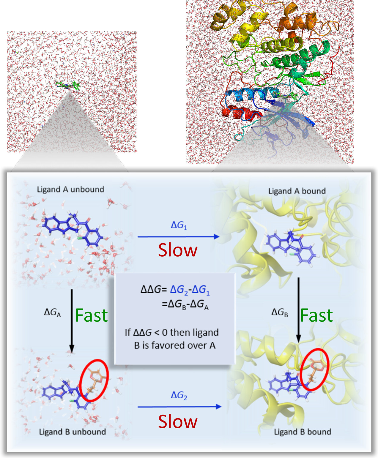 谈谈FEP中unbound state的选取 - 哔哩哔哩