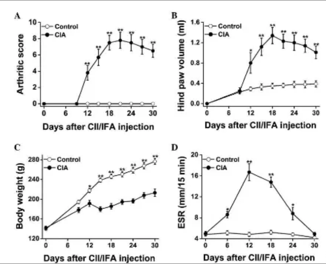 关节炎CIA模型 胶原诱导性关节炎(CIA)是研究和应用最广泛的标准模型 - 哔哩哔哩