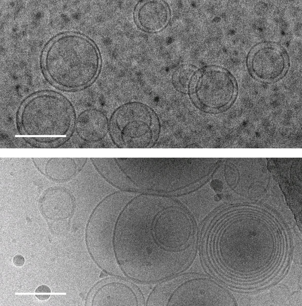万物之母——始祖病毒 - 哔哩哔哩