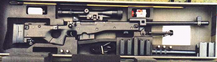 并不是所有的绿狙都叫做AWM，AI产品识别（一） - 哔哩哔哩