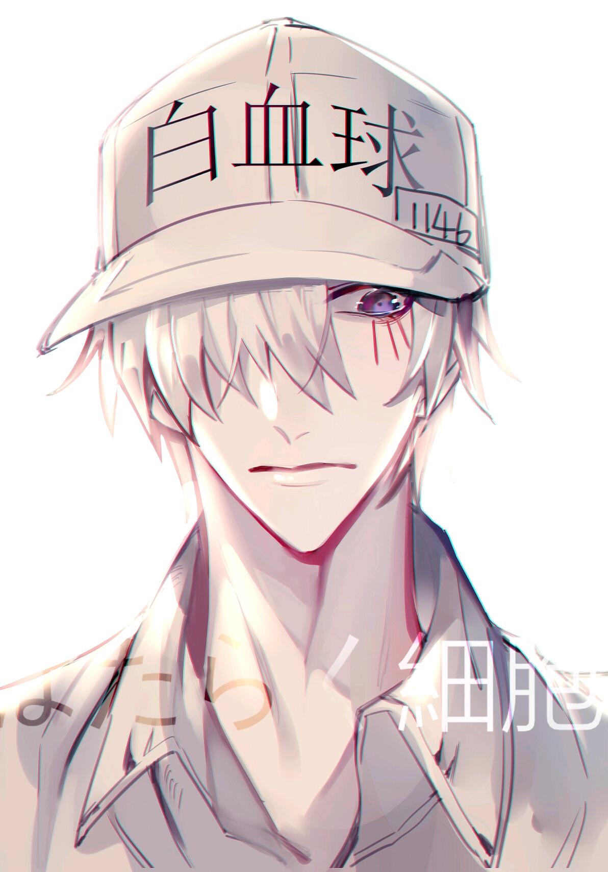 工作细胞——白细胞（U-1146） - 哔哩哔哩