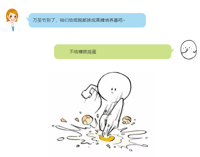 MEM、MEM-EBSS、MEMα 如何区分？？？ - 哔哩哔哩