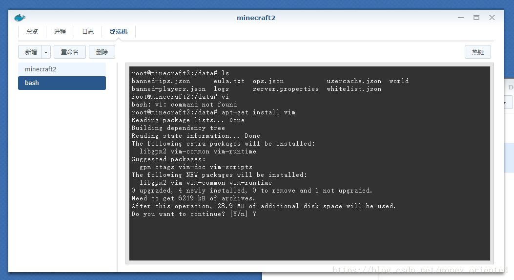 【NAS-群辉玩机之旅-Docker】Minecraft服务器安装 - 哔哩哔哩