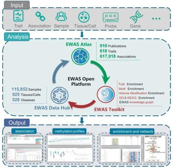 EWAS数据分析（7）— 表观基因组关联分析（EWAS）相关工具 - 哔哩哔哩