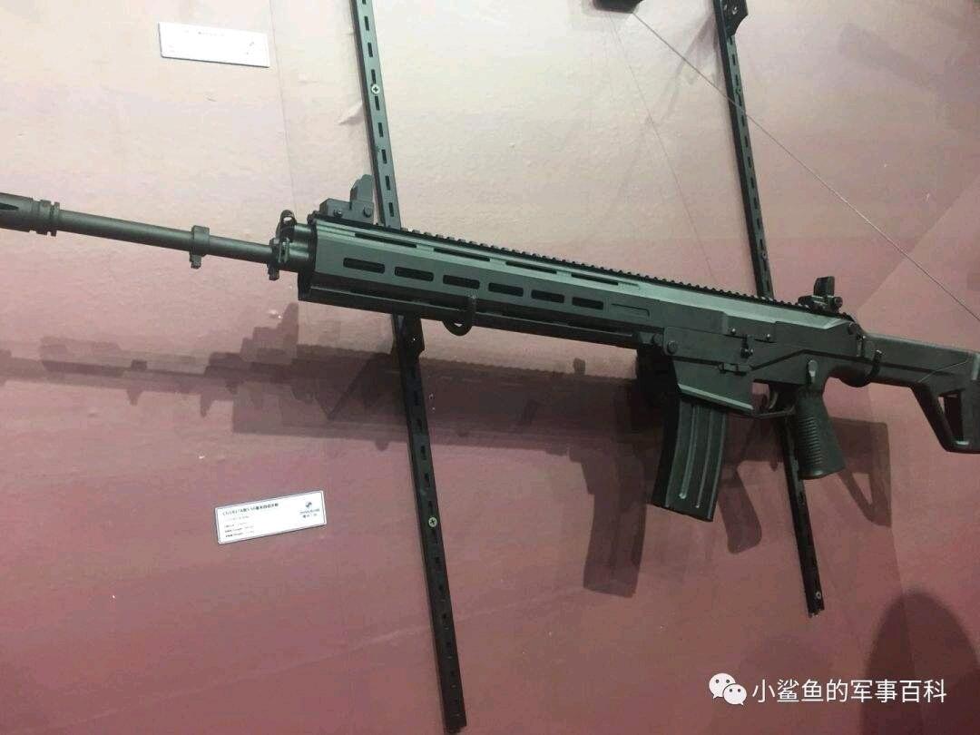 新型国产步枪先行者（迫真）——CS/LR—17/18 - 哔哩哔哩