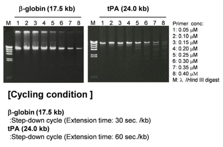 KOD-Plus-Neo产品说明书 - 哔哩哔哩