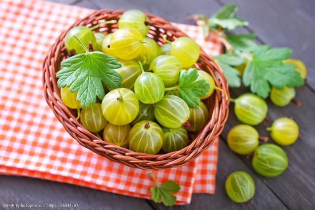 “berry”类的水果，你知道哪些？ - 哔哩哔哩