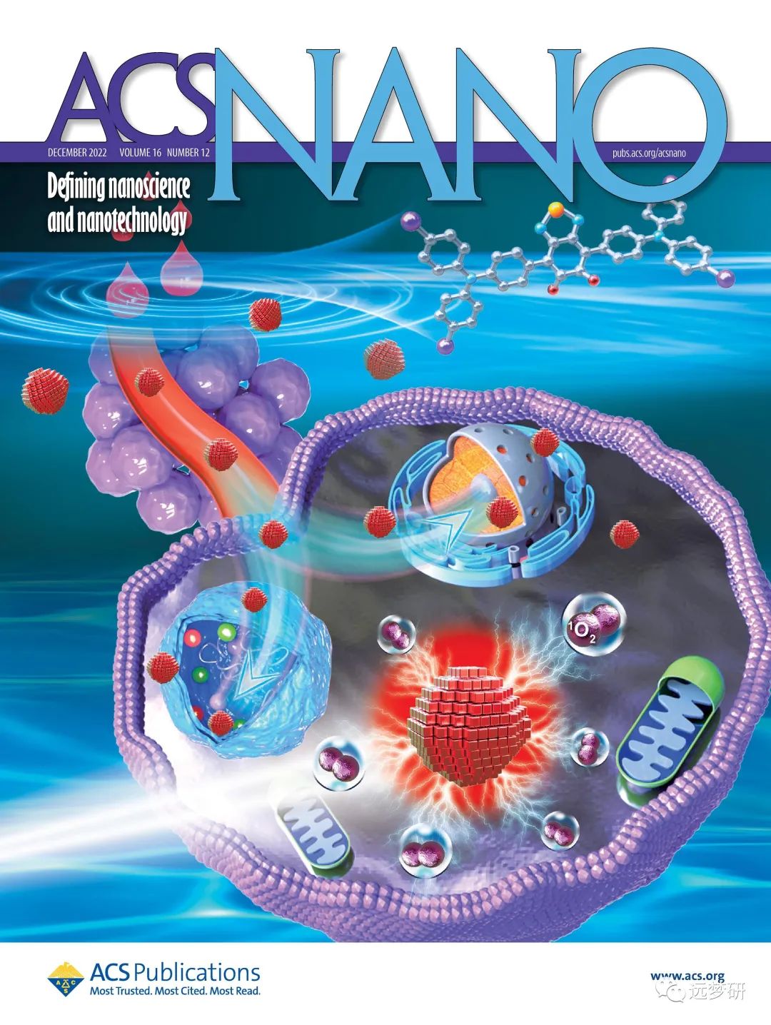 【标题速读】【ACS_Nano】【2022年】【12月】 - 哔哩哔哩