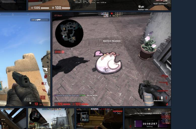 CSGO职业哥资料和库存： EliGE把原版皮肤全部改名 ,最爱各种无涂装皮肤刀(CS鸡哥） - 哔哩哔哩