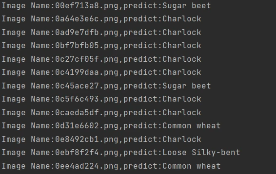 SeaFormer实战：使用SeaFormer实现图像分类任务（二） - 哔哩哔哩